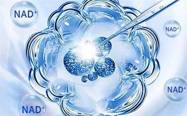 NMN对比，Aneoktur NMN吸收快，性价比高，效果更好_山东站_中华网