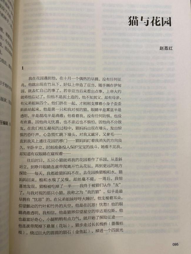 高考语文卷上的“猫文”作者找到了 考生热议文章与题目_新闻频道_中华网