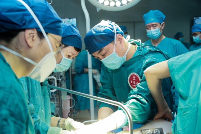 国际首例！西京医院实施六基因编辑猪-猴多器官多组织同期联合移植_陕西站_中华网